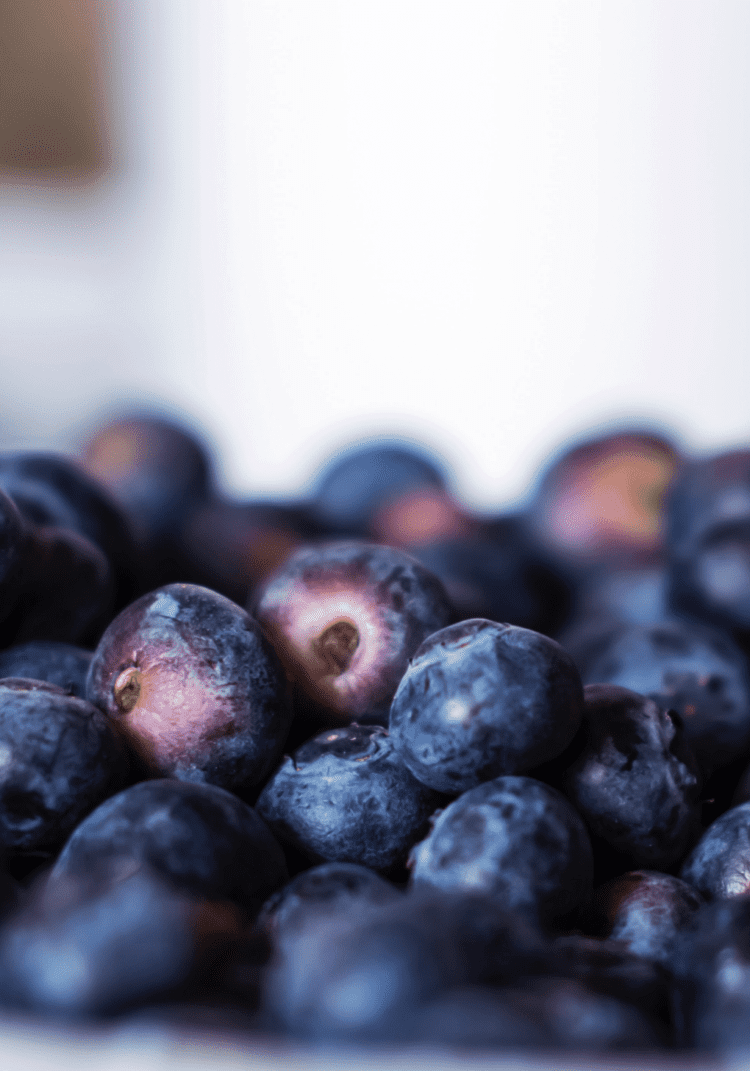 LA ÇAÍ Coffee & Açaí bowls - Best açaí distributor and açaí café in Belgium